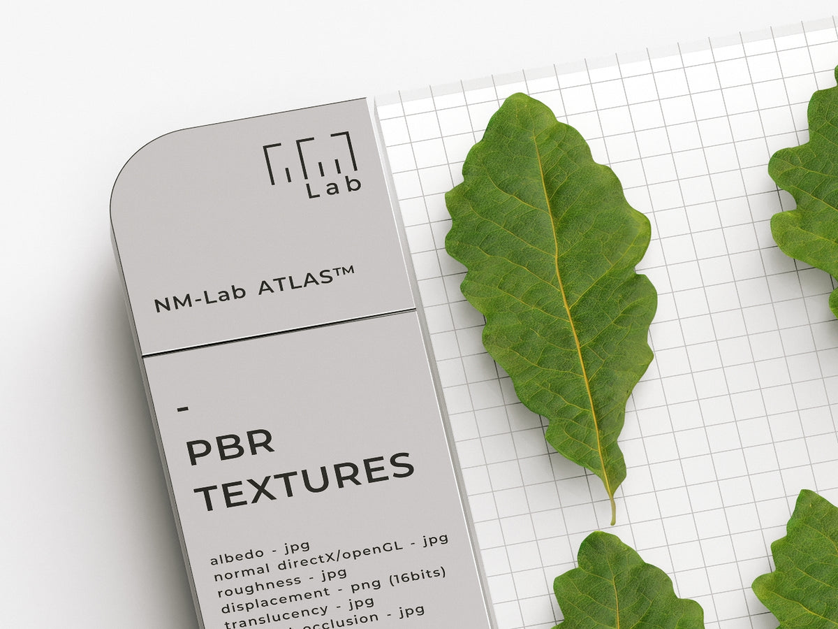 Leaves PBR Textures