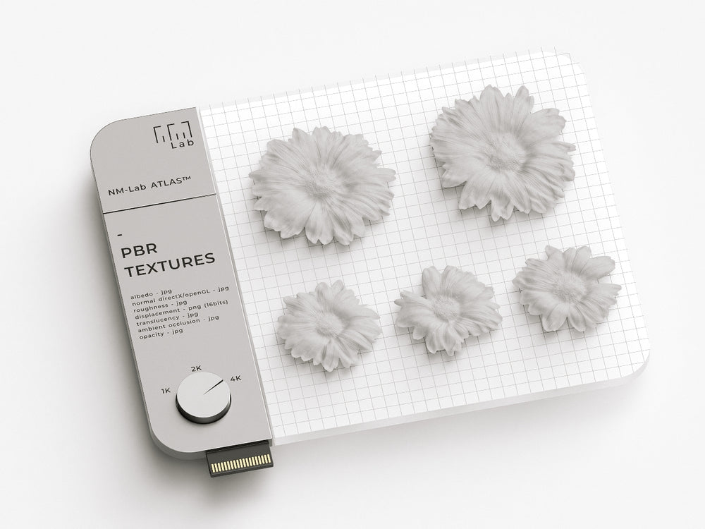 Flowers PBR Textures