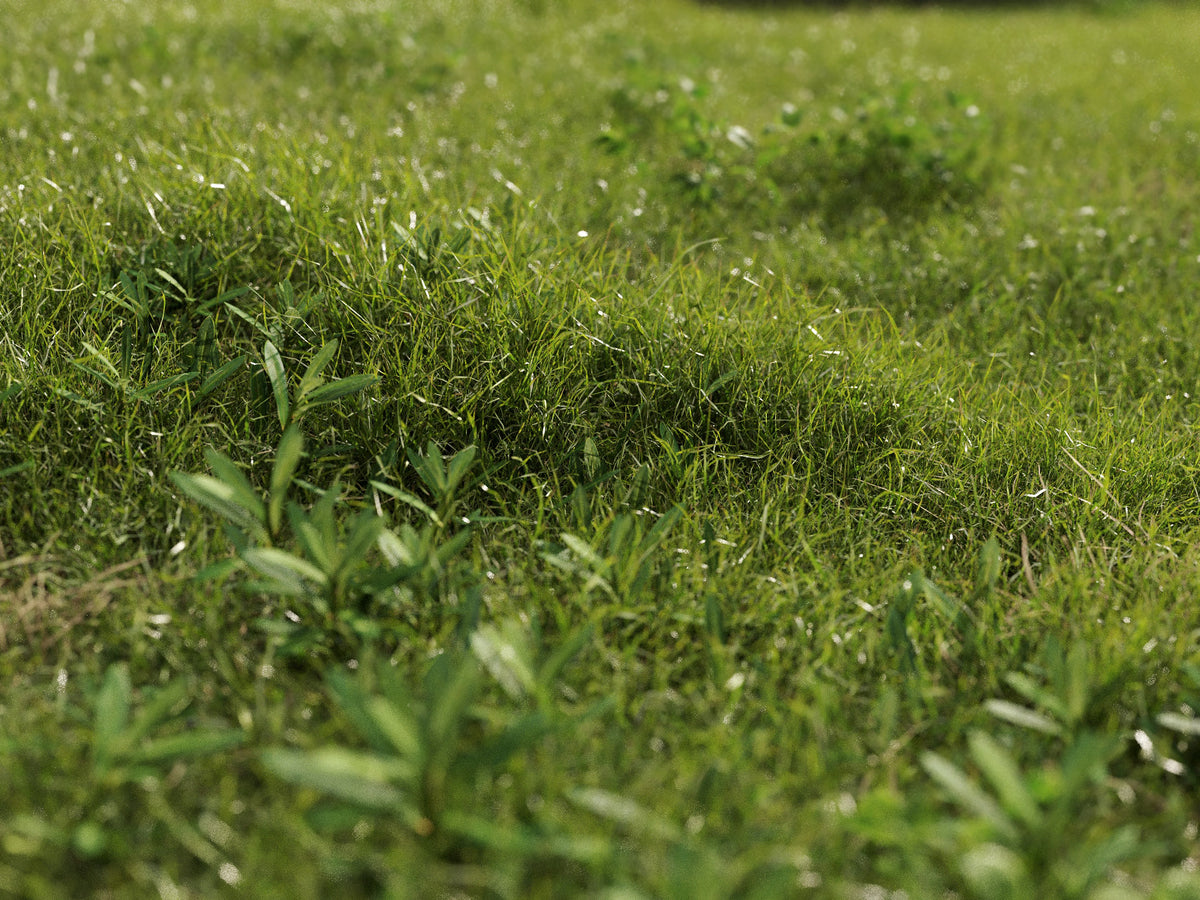 GR08 | NM-Lab System™