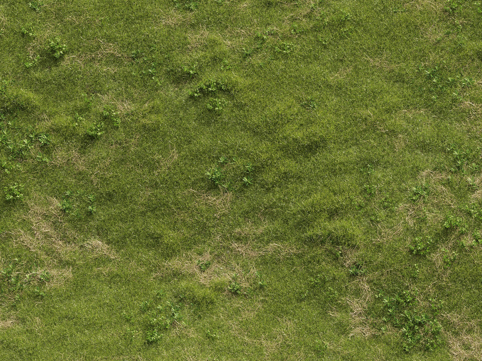 GR08 | NM-Lab System™