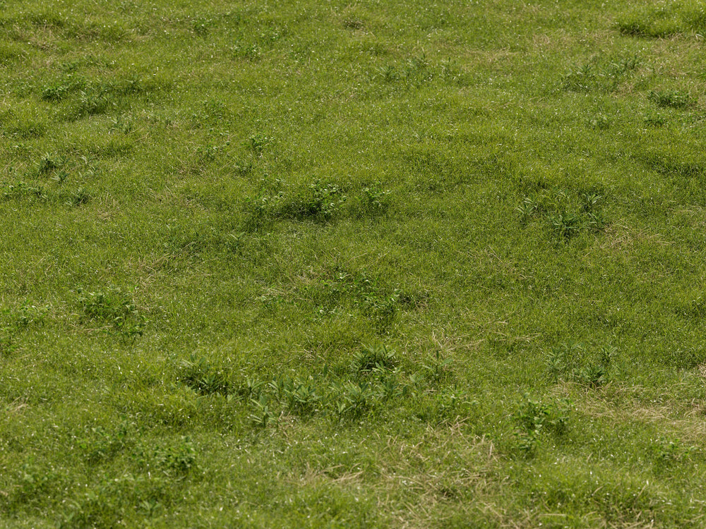 GR08 | NM-Lab System™