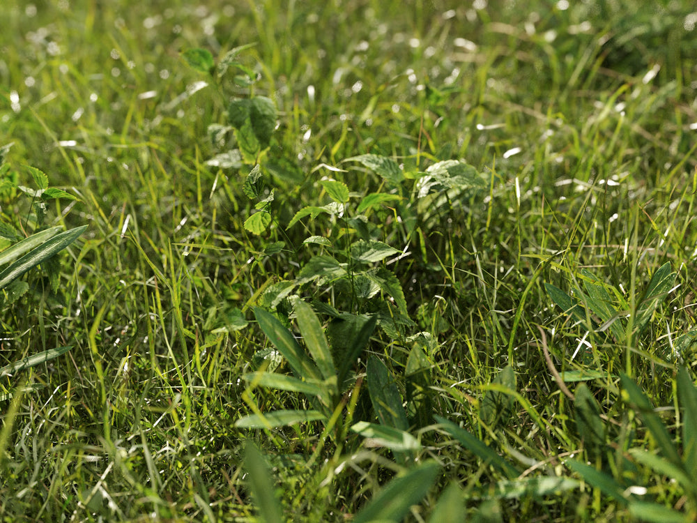 GR08 | NM-Lab System™