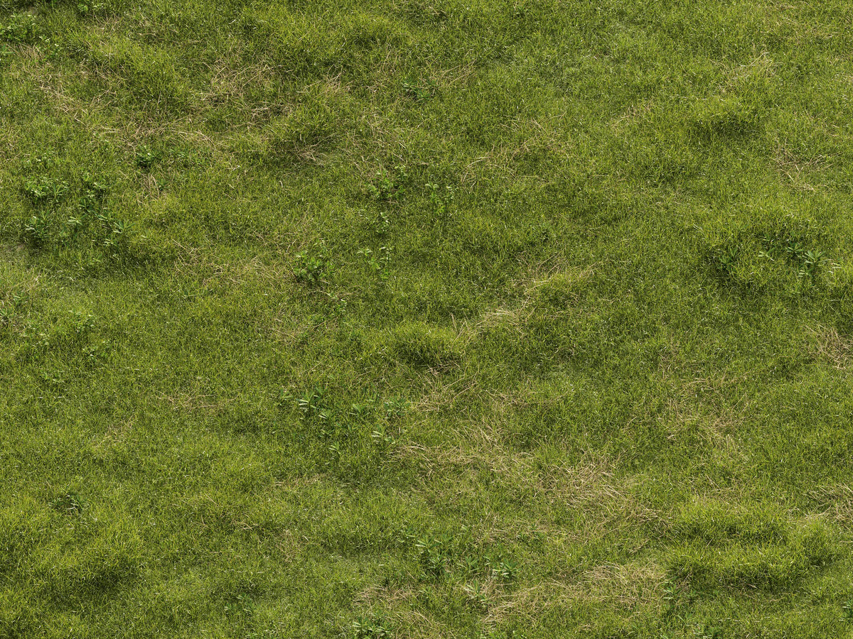 GR08 | NM-Lab System™