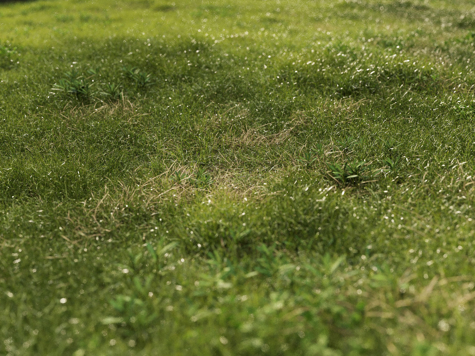 GR08 | NM-Lab System™